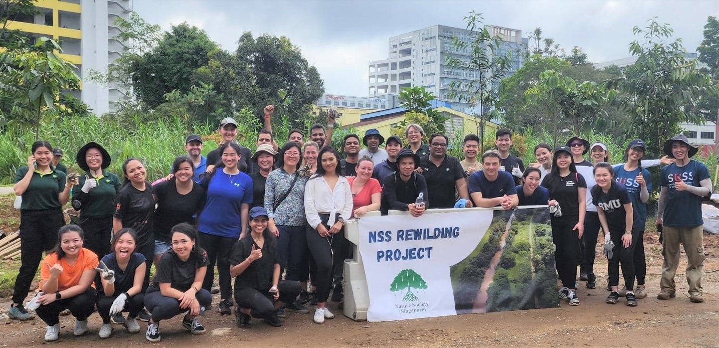 SUSS Students Contribute to the Rewilding Efforts at Rail Corridor | SUSS